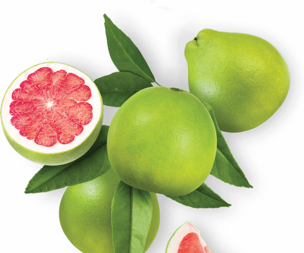 The Pummelo: Unearthing the Secrets of the Citrus Giant - NisinSheep
